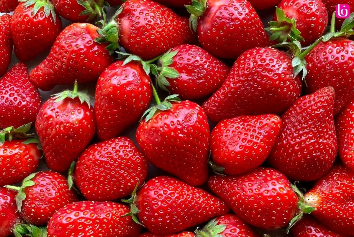 خواص سلامت‌بخش انواع توت